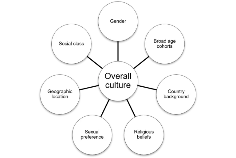 What is a subculture?